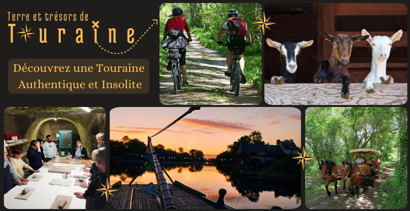 Les sorties insolites de Touraine à faire en famille | Kidiklik